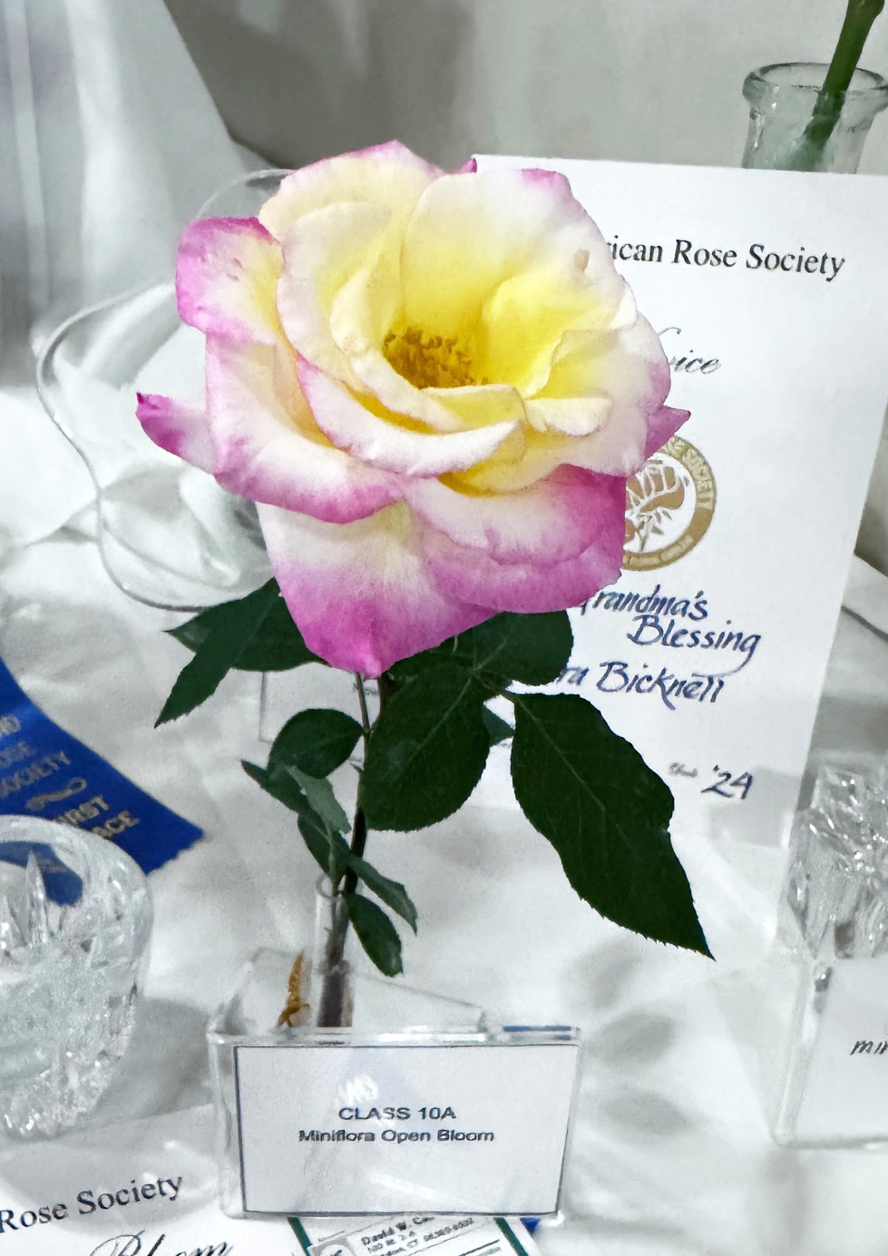 2024 Rose Show - RHODE ISLAND ROSE SOCIETY