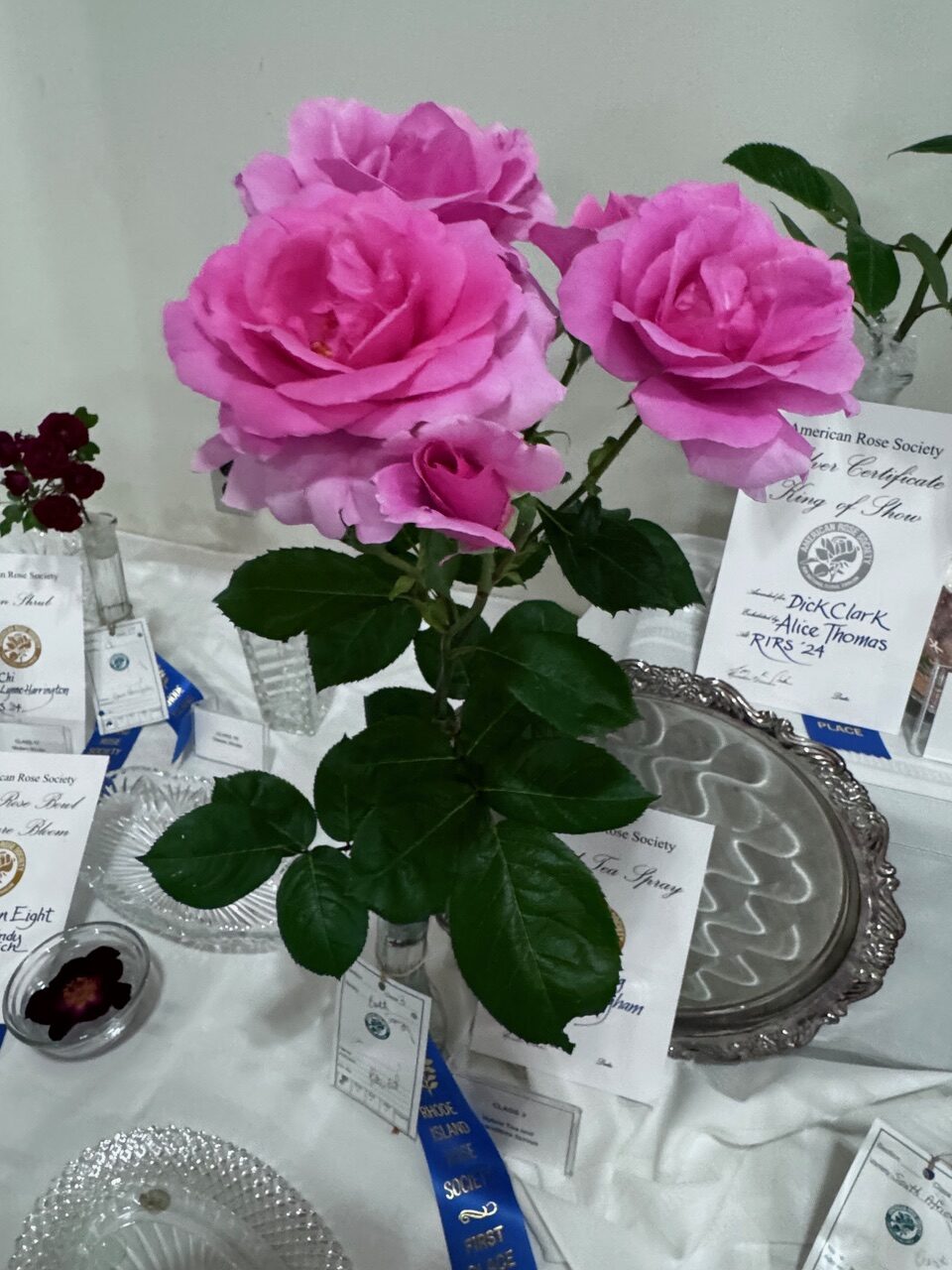 2024 Rose Show - RHODE ISLAND ROSE SOCIETY